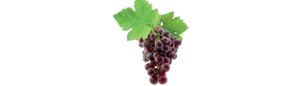 Les Raisins Bio | Pronatura