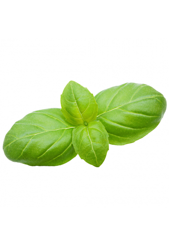 Les Aromates Bio | Pronatura