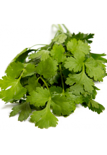 Les Aromates Bio | Pronatura